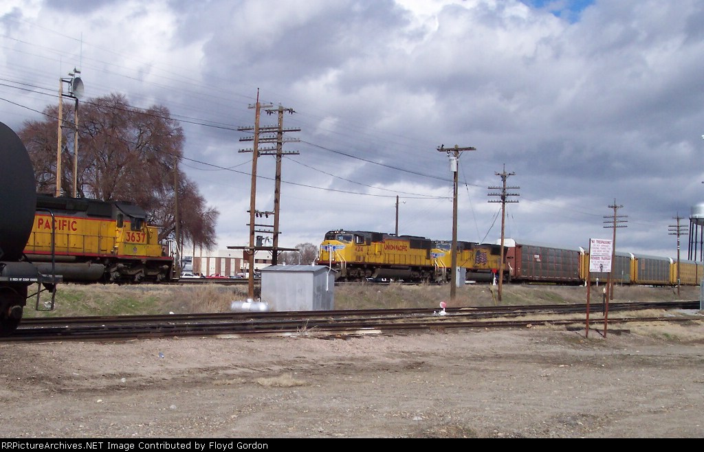 UP 4214 leads autorack unit train